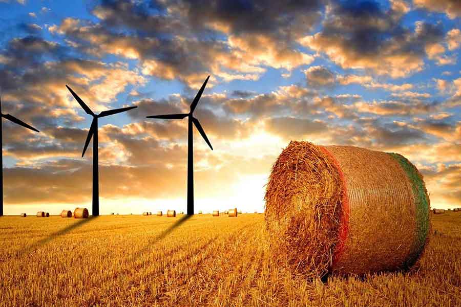 Agro First Solutions